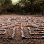 Rachel Naomi Remen, MD - The New School at Commonweal